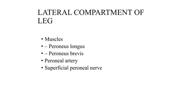 ANTEROLATERAL LEG.pptx