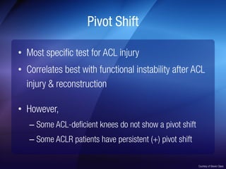 Anterolateral Ligament (ALL) | PDF