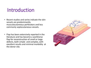 Anterolateral thigh flap.pptx