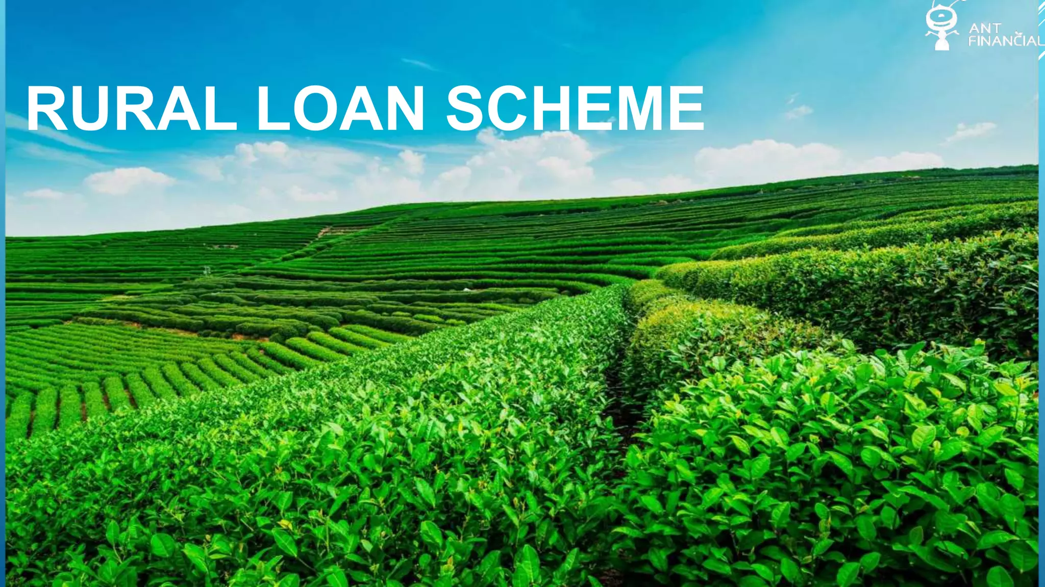 Ant Financial Case Study.pptx