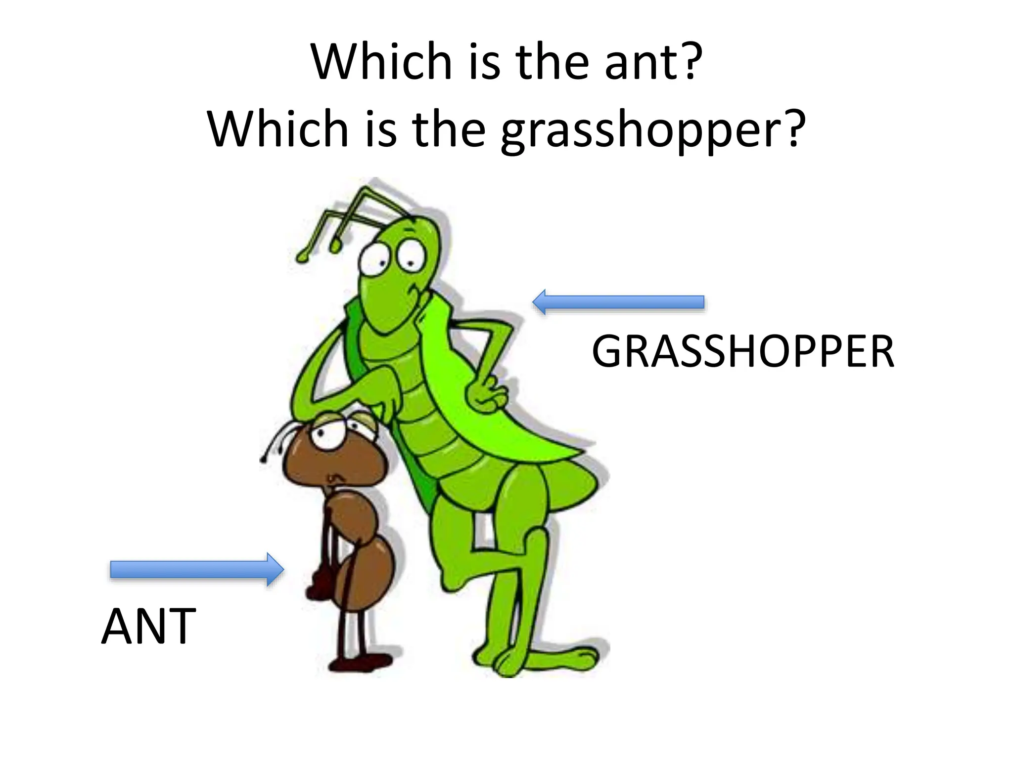 The story of ant and the grasshopper for kindergarten | PPT