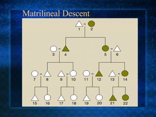 Matrilineal Chart