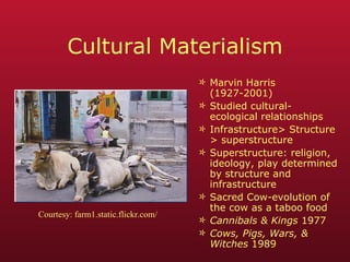 Anth1 Theory Ch03 | PPT | Science