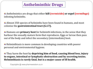 Anthelmintic Drugs | PPTX