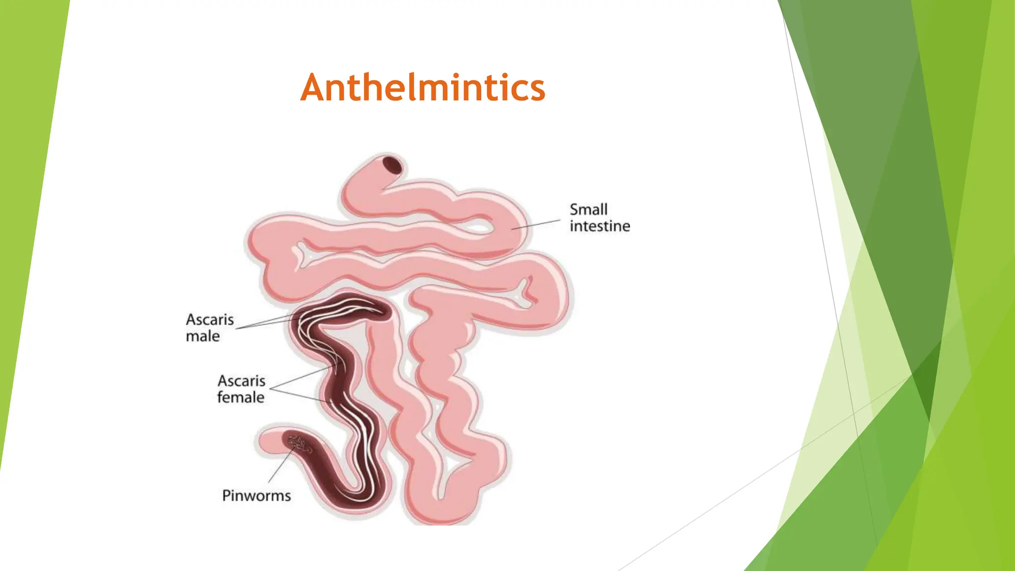 anthelmintic.pptxAnthelmintics are drugs used to treat parasitic ...
