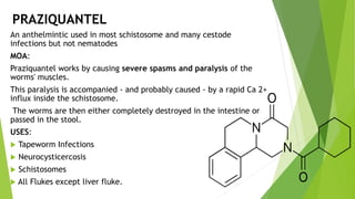 anthelmintic.pptxAnthelmintics are drugs used to treat parasitic ...