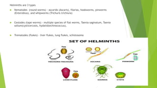 anthelmintic.pptx medicinal chemistry of anti helmith | PPTX