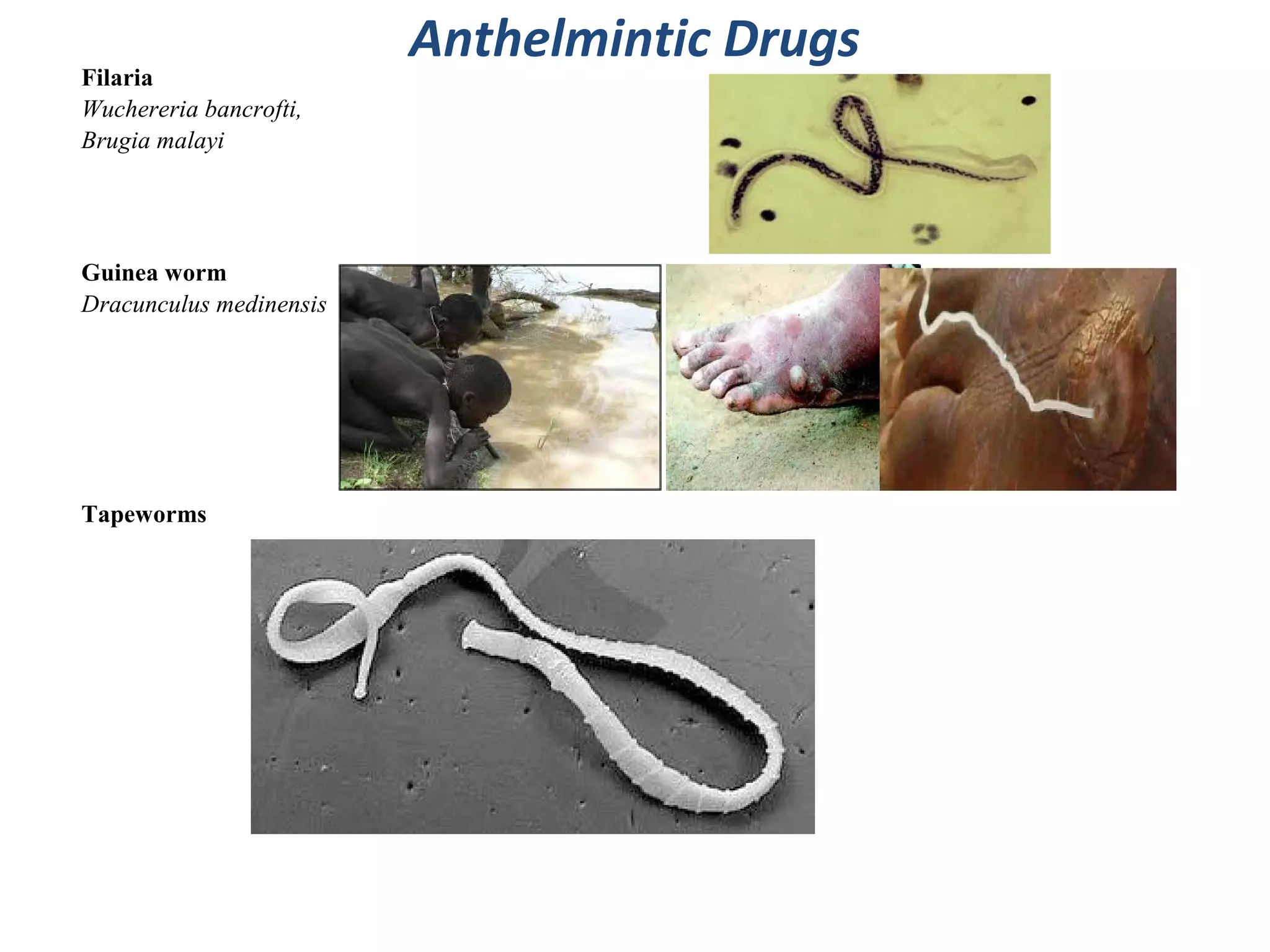 Anthelmintic drugs | PPT