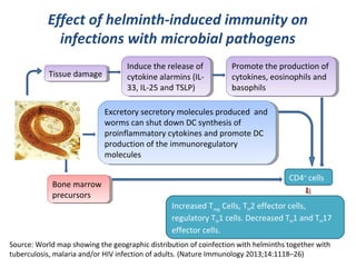 Anthelmintic drugs | PPT