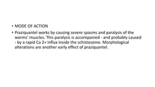 ANTHELMINTIC DRUGS.pptx
