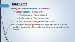 Anthelmintic Drugs.pptx