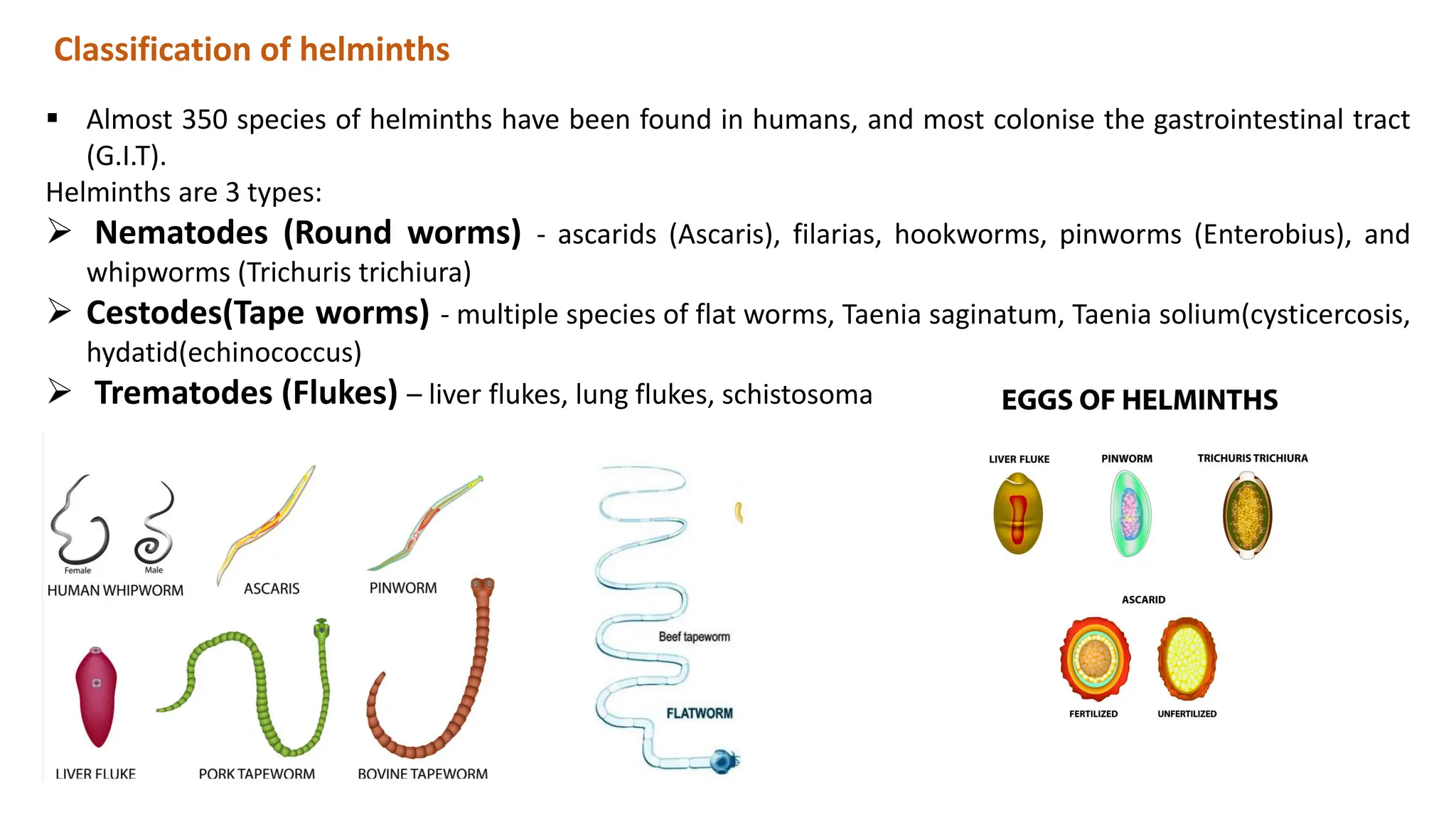 Anthelmintic Drugs-Medicinal Chemistry | PDF