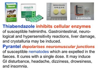 Anthelmintic drugs e(1)[1] | PPT
