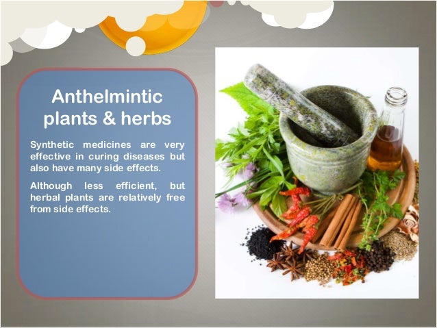 Anthelmintic plants and herbs