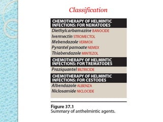 Anthelmintic Drugs | PPTX
