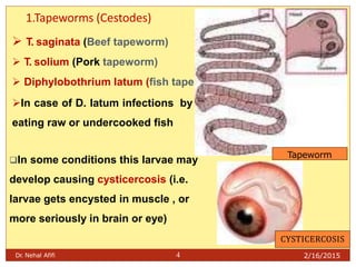Anthelmintics | PPTX