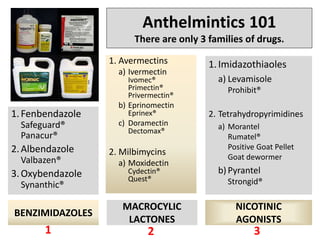 Anthelmintics 101 - Charts | PPTX