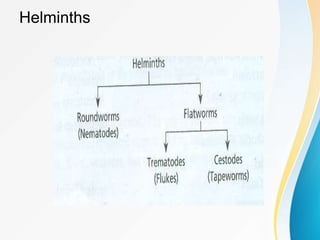 Anthelmintics drugs classification,history,mechanism of action and ...