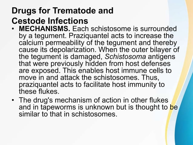 Anthelmintics drugs classification,history,mechanism of action and ...