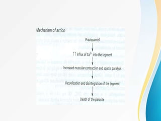 Anthelmintics drugs classification,history,mechanism of action and ...