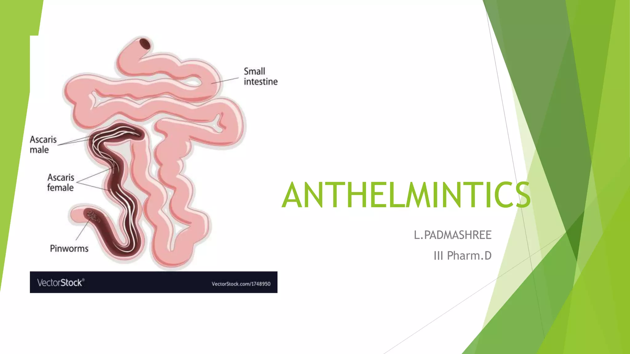 Anthelmintics medicinal chemistry | PPTX