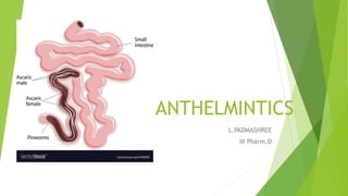Anthelmintics medicinal chemistry | PPTX