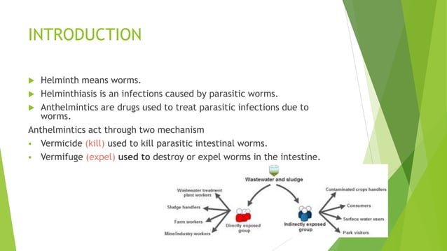 Anthelmintics medicinal chemistry | PPT