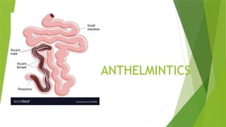 anthelmintic drugs definition classification | PPT