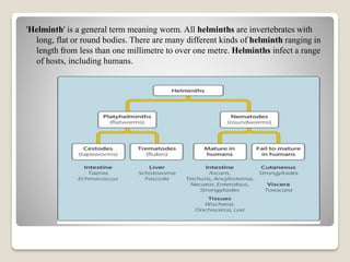 Anthelmintics ppt converted | PDF