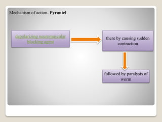 Anthelmintics ppt converted | PDF