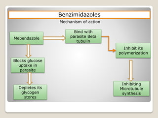 Anthelmintics ppt converted | PDF