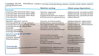 Anthelmintik (imunologi dan infeksi bunda) | PPT