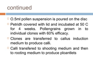 Anther and-pollen-culture | PPT