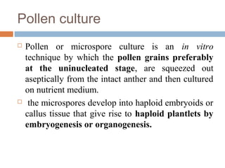 Anther and-pollen-culture | PPT