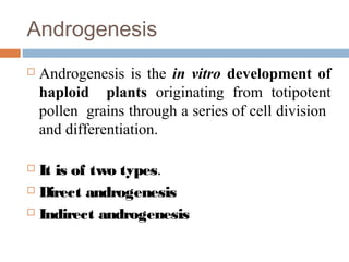Anther and-pollen-culture | PPT