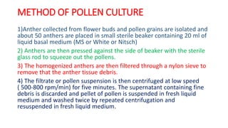 Anther and pollen culture | PPTX