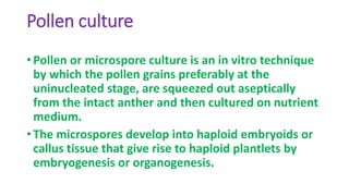 Anther and pollen culture | PPTX