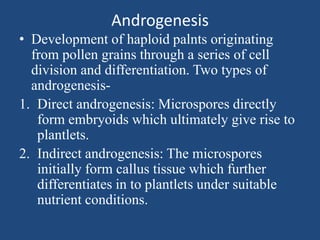 Anther and pollen culture | PPTX