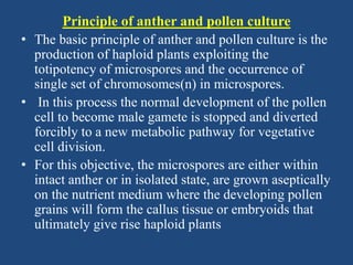 Anther and pollen culture | PPTX