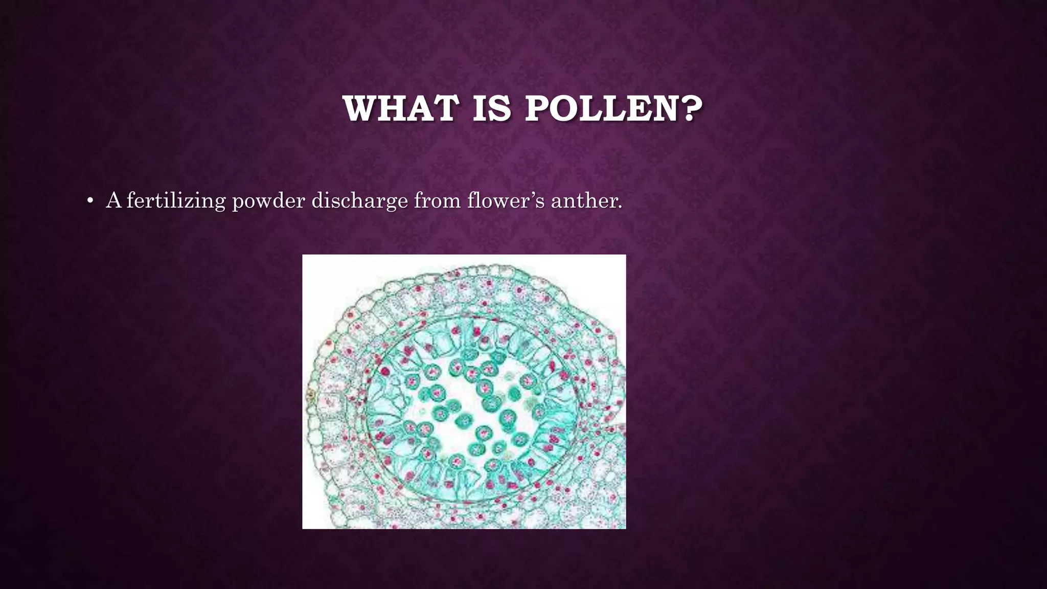 ANTHER AND POLLEN CULTURE.pptx