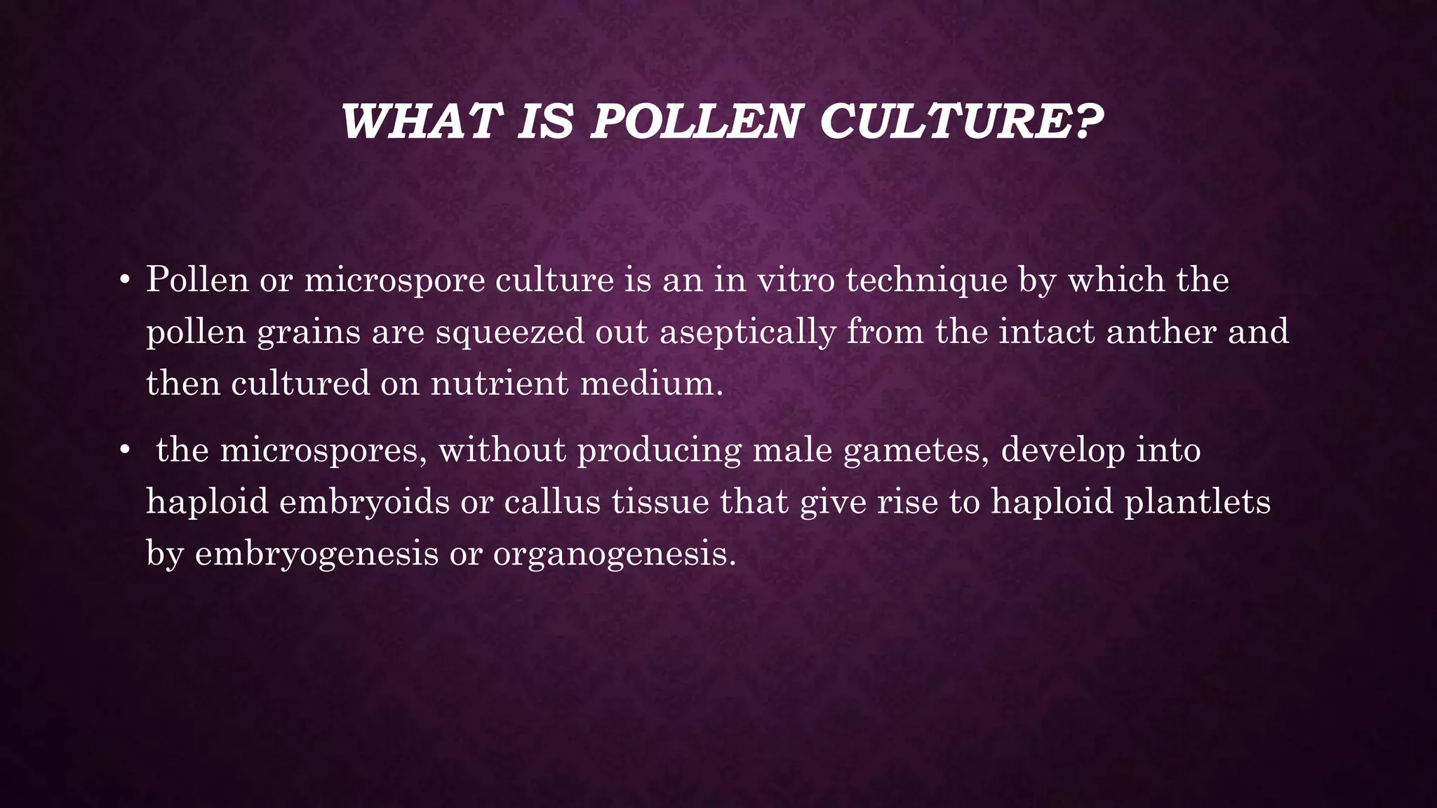 ANTHER AND POLLEN CULTURE.pptx