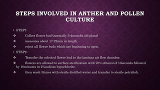 ANTHER AND POLLEN CULTURE.pptx