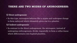 ANTHER AND POLLEN CULTURE.pptx