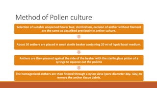 Anther and Pollen culture | PPTX