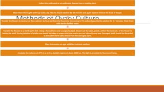 Anther and Pollen culture and its applications | PPTX