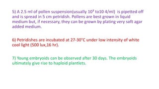 Anther and pollen culture-.pdf microsporogenesis | PDF