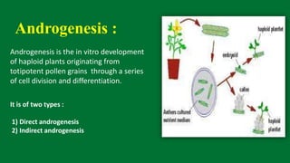 Anther and Pollen culture and techniques | PPT