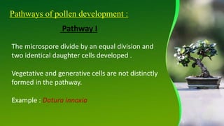 Anther and Pollen culture and techniques | PPTX