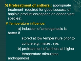 Anther culture | PPTX