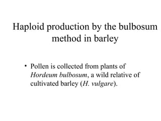 Anther culture | PPT